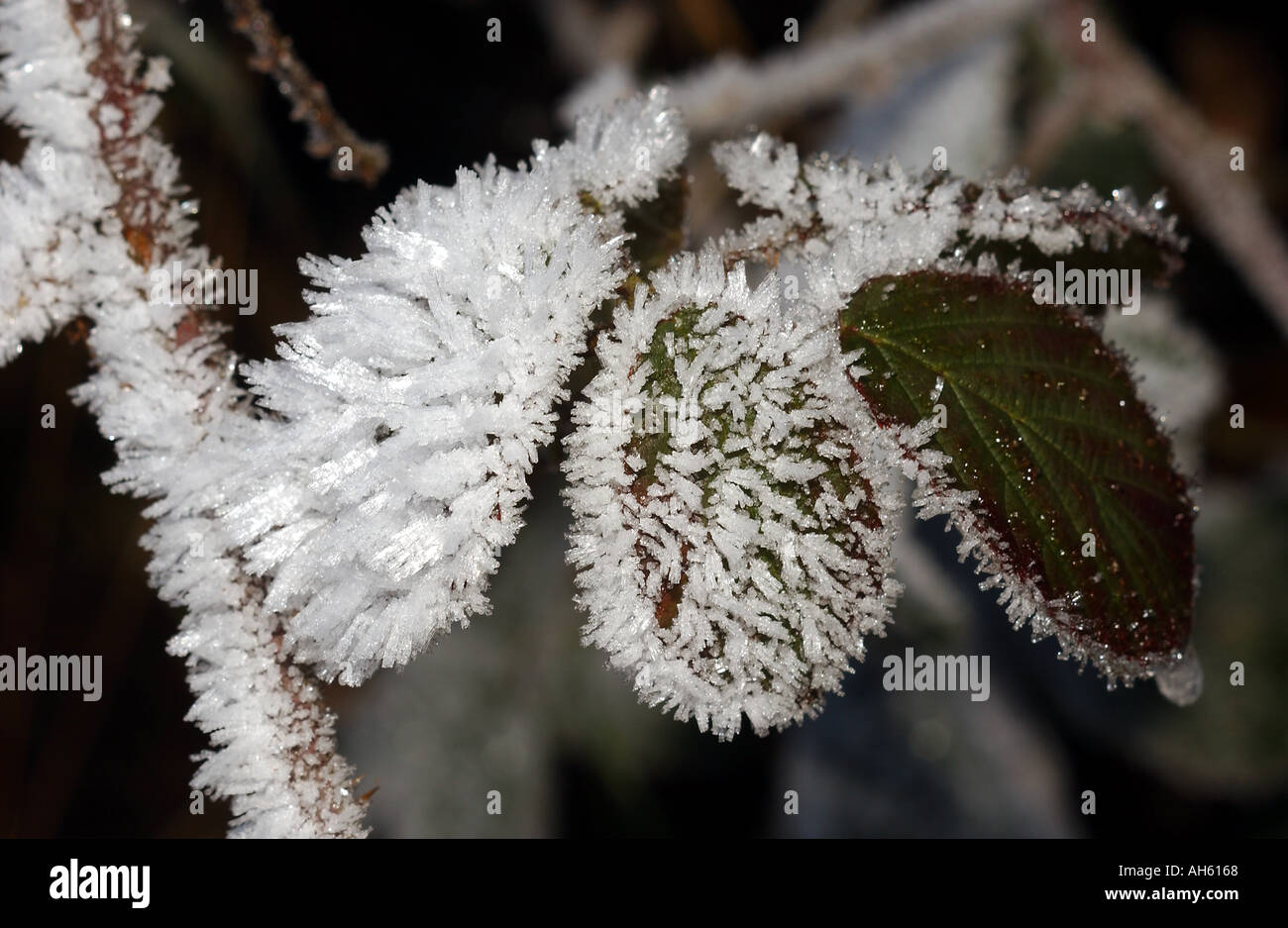 Crystallized minerals hi-res stock photography and images - Alamy