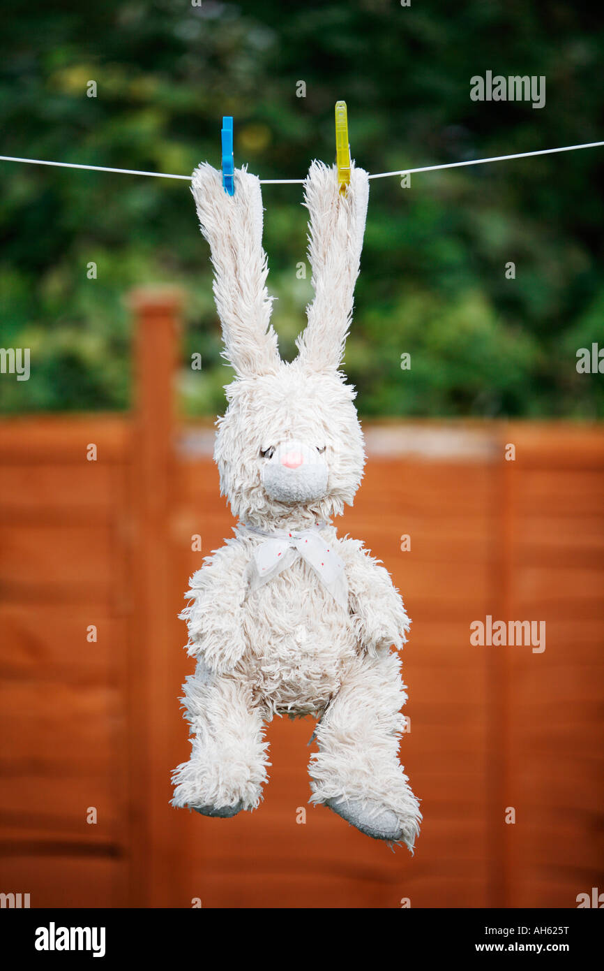 Teddy bear on a washing line hi-res stock photography and images - Alamy