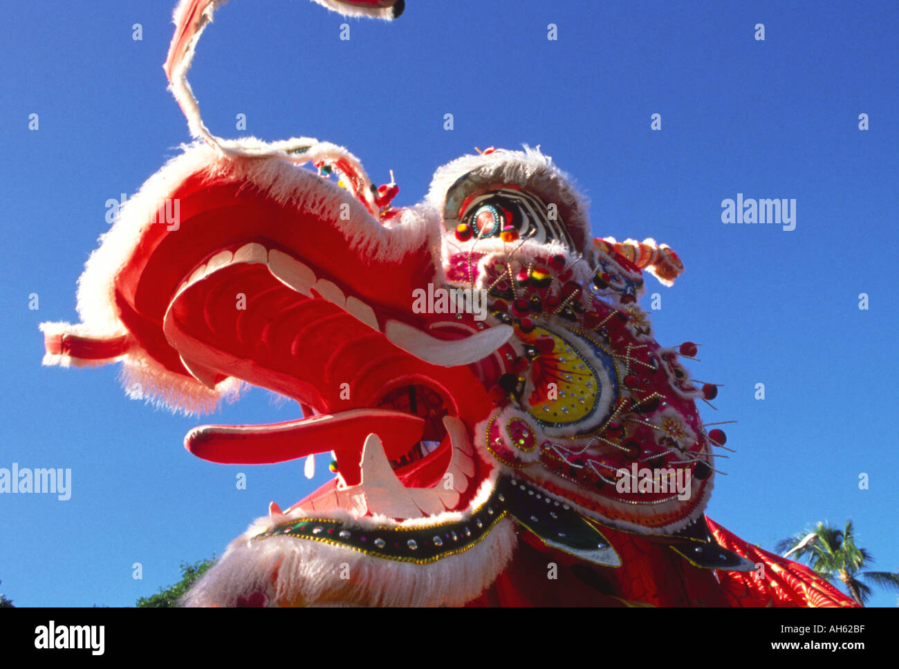 Lion Dance Hawaii Stock Photo - Alamy