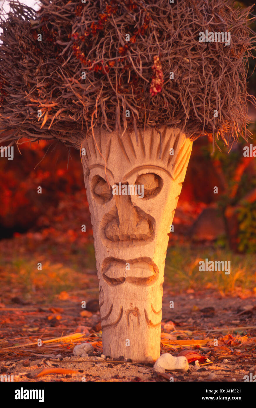 Coconut stump hi-res stock photography and images - Alamy