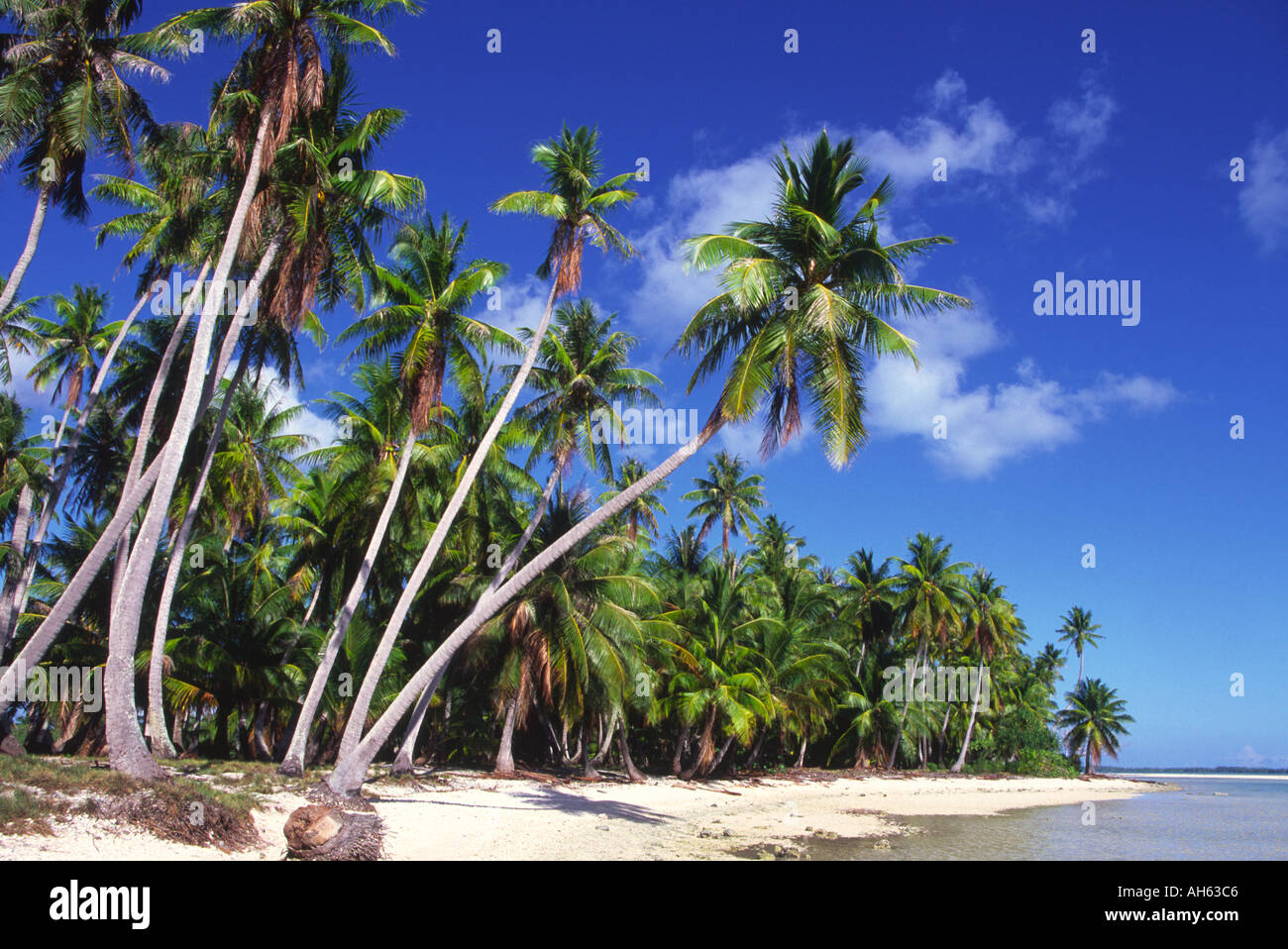 Mataiva Tuamotu Islands French Polynesia Stock Photo - Alamy