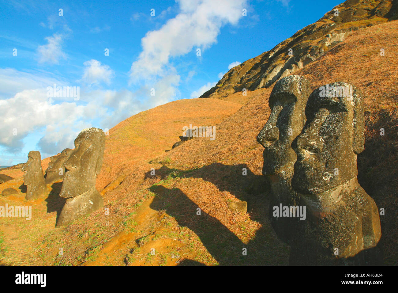 Rano Raku Moai statue Quarry Easter Island Rapa Nui Chile Stock Photo ...