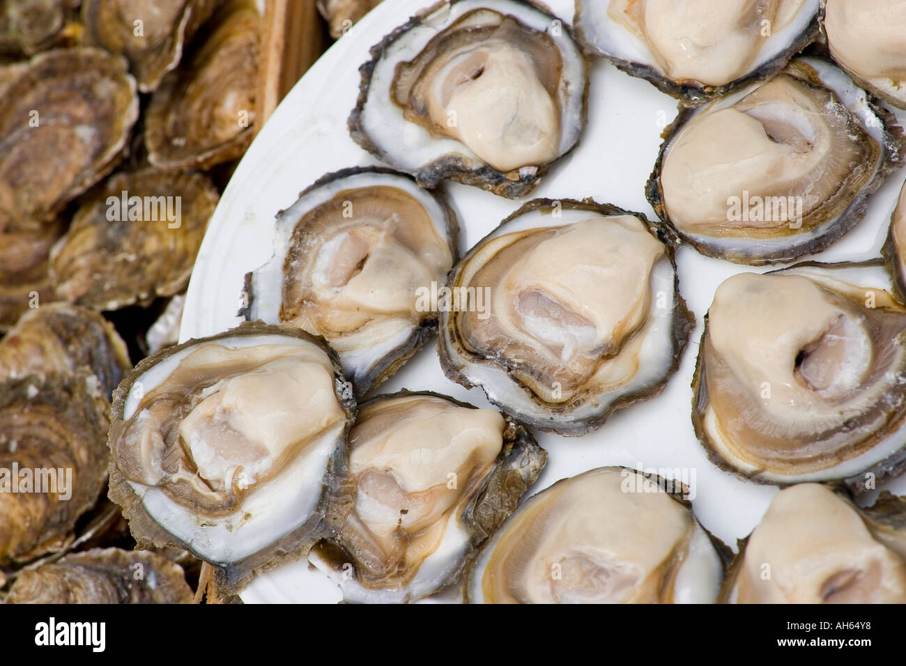 Ostras hi-res stock photography and images - Alamy