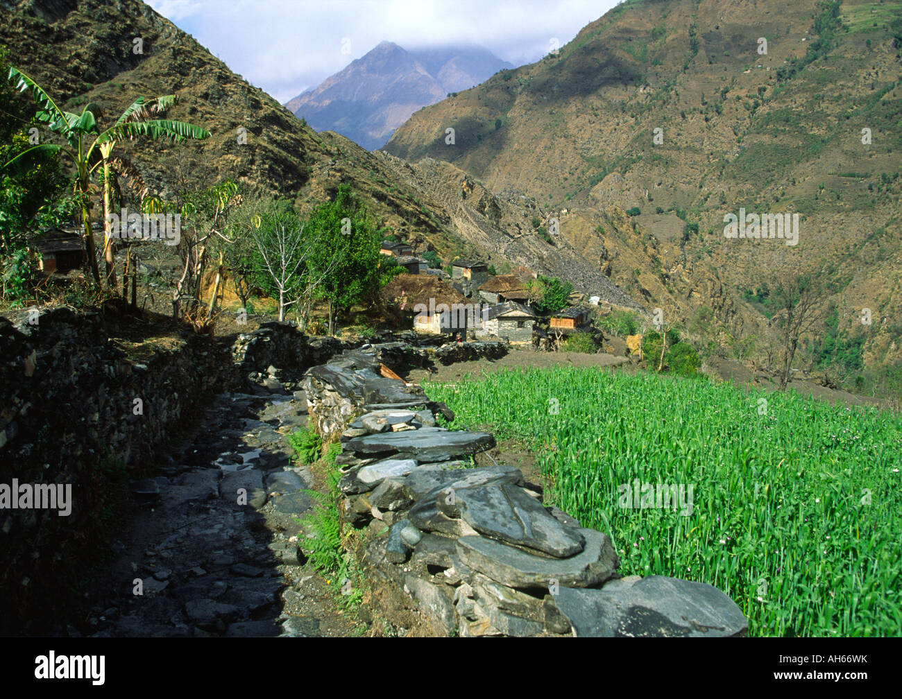 Jomsom Trek , Nepal Stock Photo - Alamy