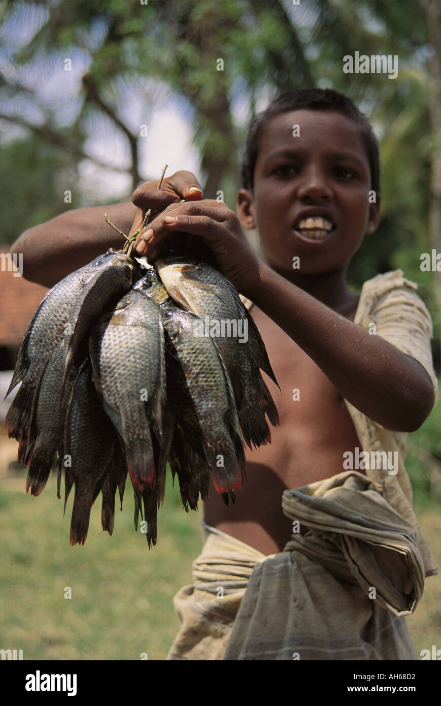 Boy holding up a good catch of freshwater fish Stock Photo - Alamy