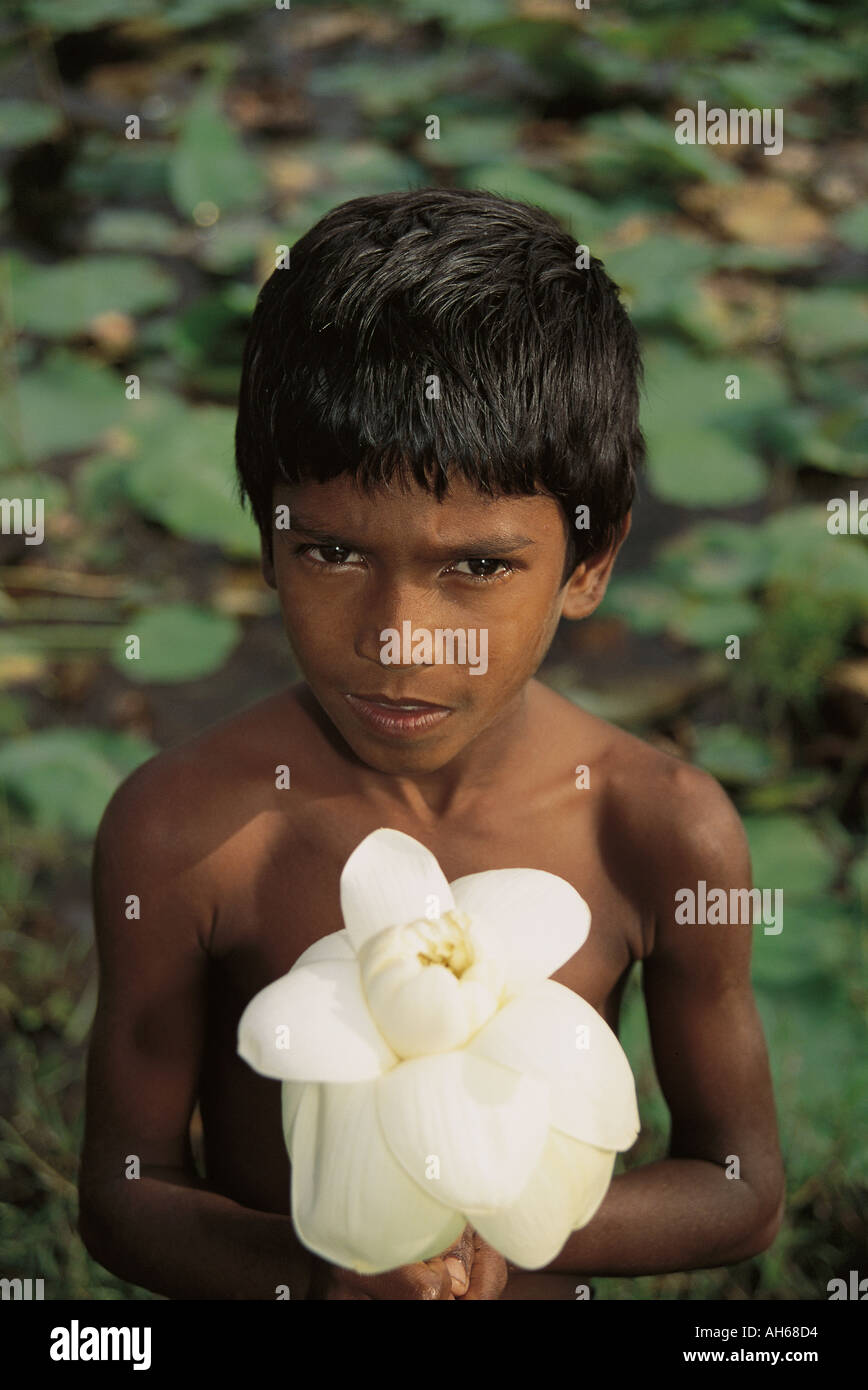 Boy holding a lotus for the temple Stock Photo - Alamy