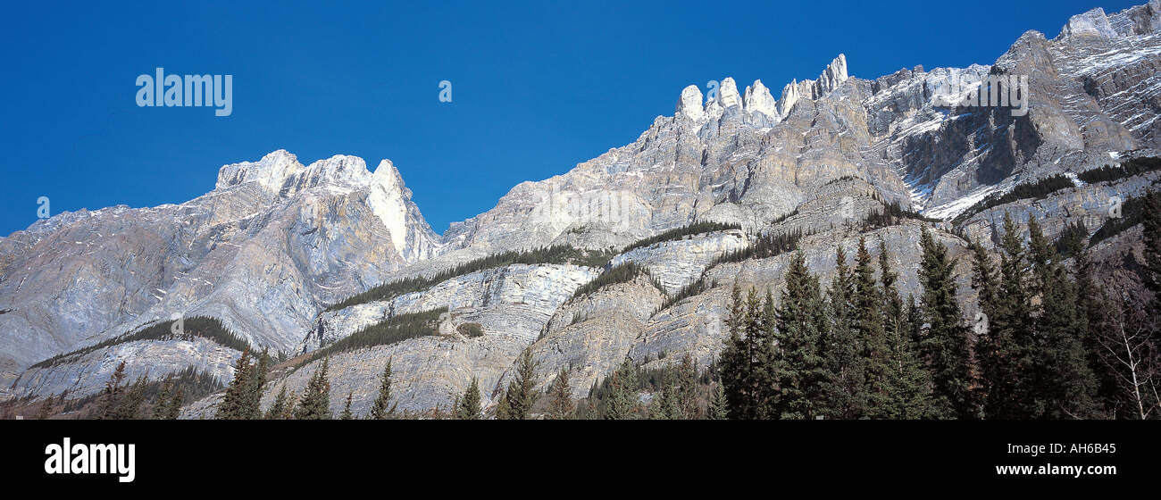 Jasper wilson hi-res stock photography and images - Alamy