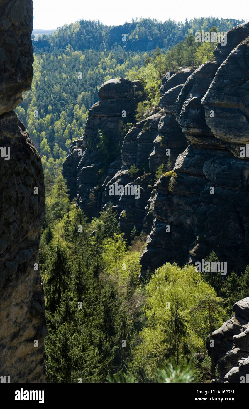 rock canyon forest gorge wilderness nature Stock Photo - Alamy