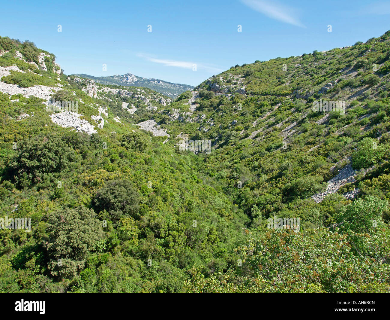 landscape with stony mountains and garrigue in southern France Hérault ...
