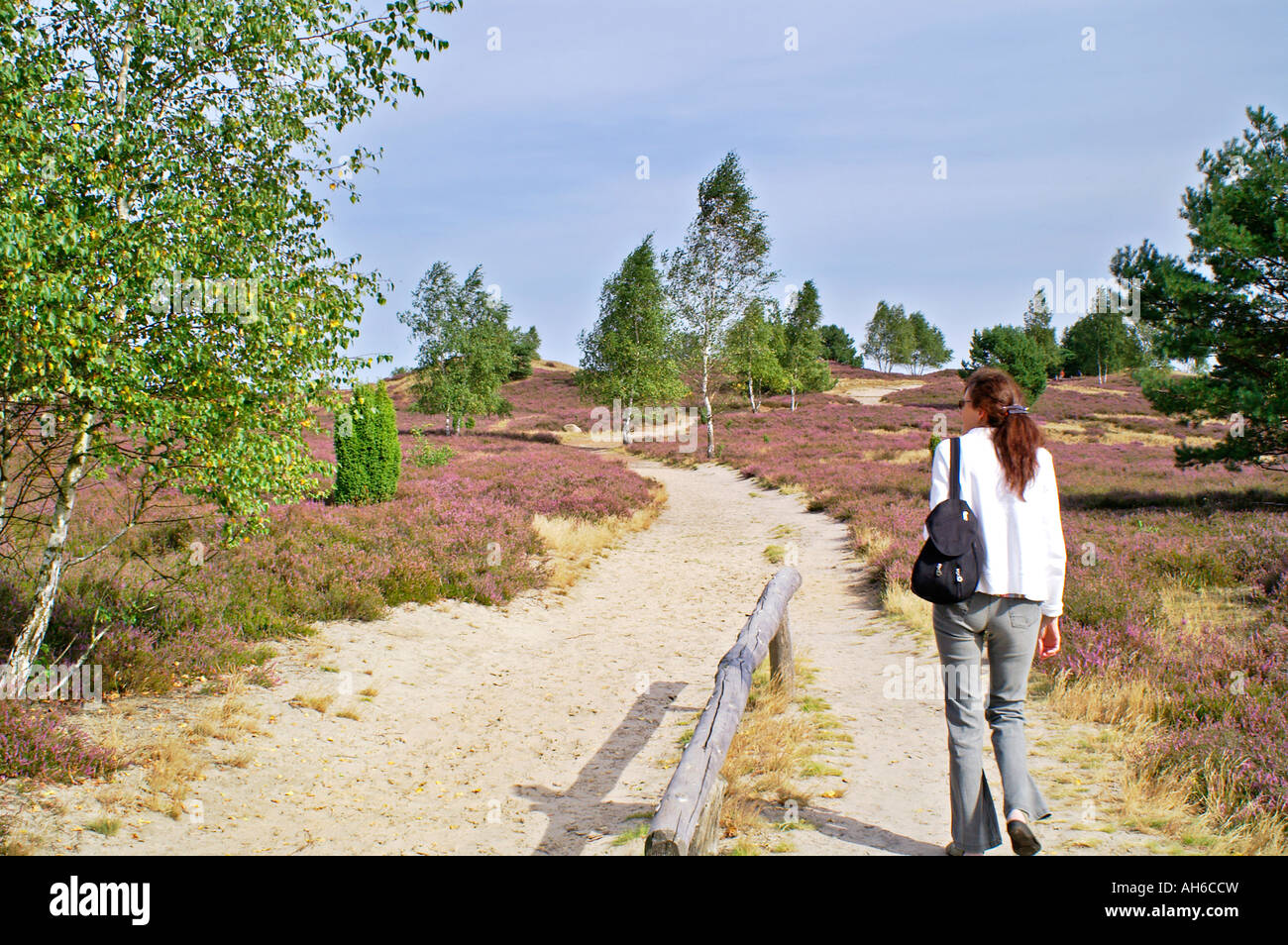 Heathland walk hi-res stock photography and images - Alamy