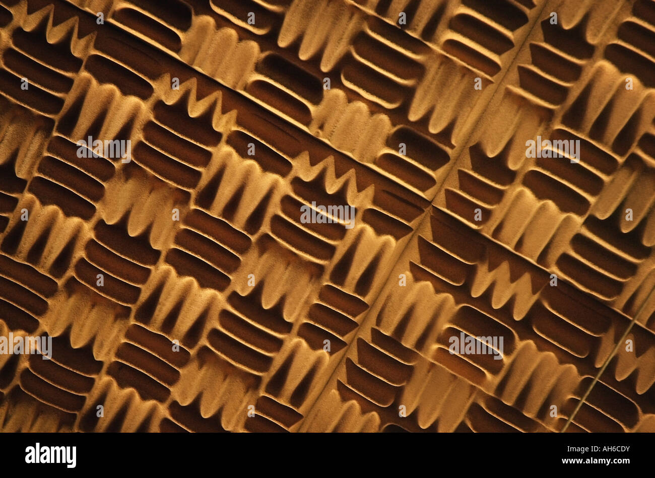Brown and Tan Background and Texture Stock Photo - Alamy