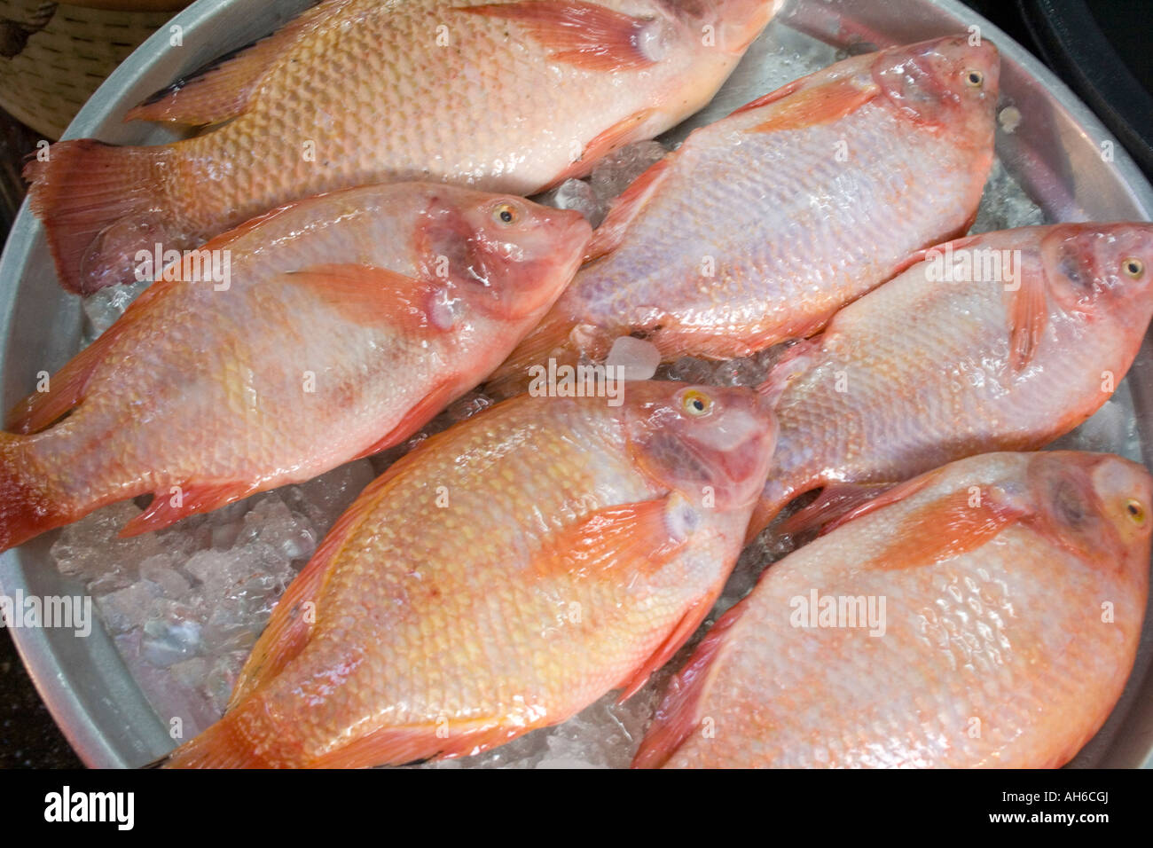 Red snappers market hi-res stock photography and images - Alamy