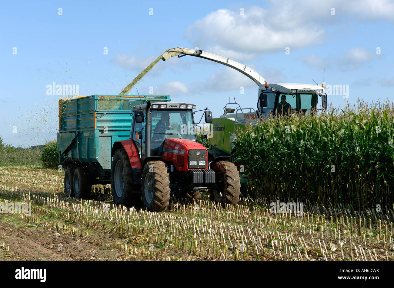 Claas forager hi-res stock photography and images - Alamy
