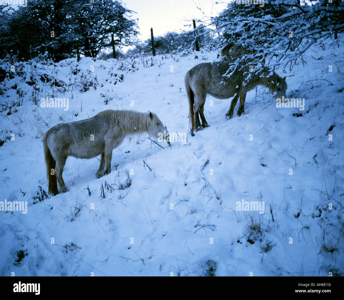 Taff fechan hi-res stock photography and images - Alamy