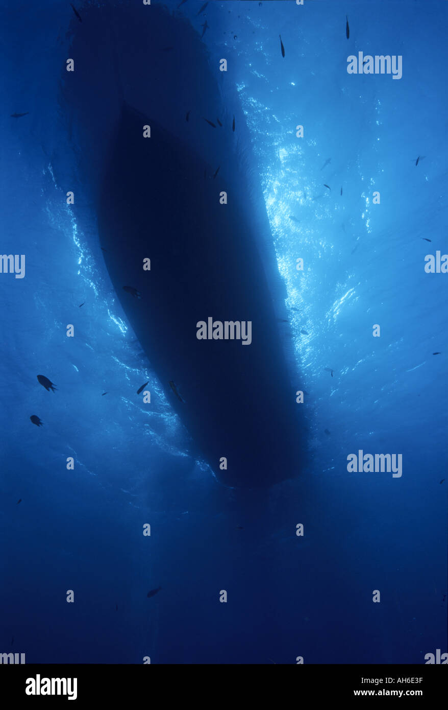 Hull of a boat is seen from underwater, Red Sea, Egypt Stock Photo - Alamy