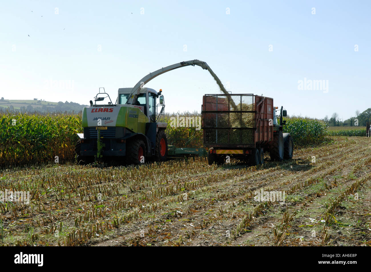 Claas forager hi-res stock photography and images - Alamy