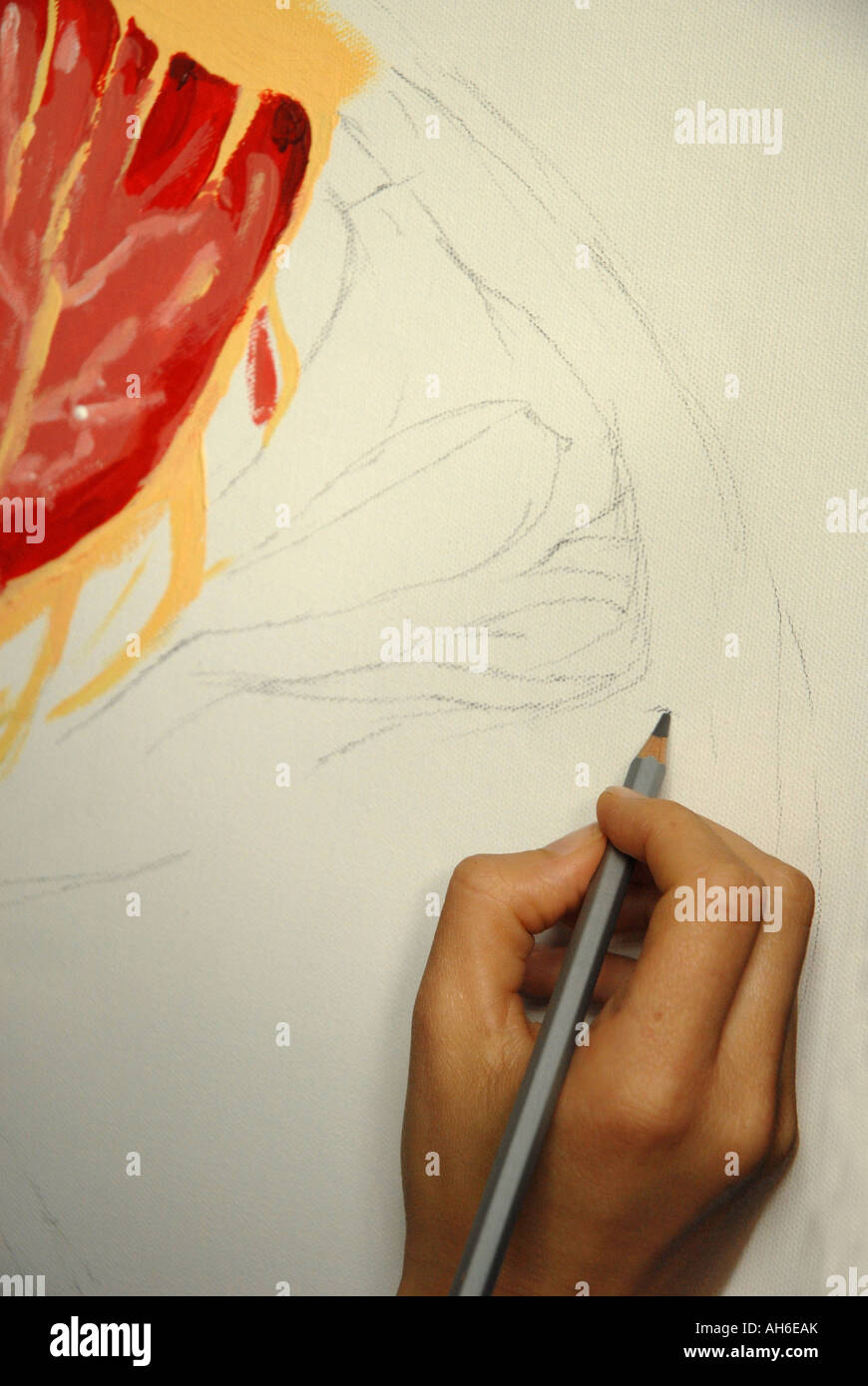 Hand drawing on canvas Stock Photo - Alamy