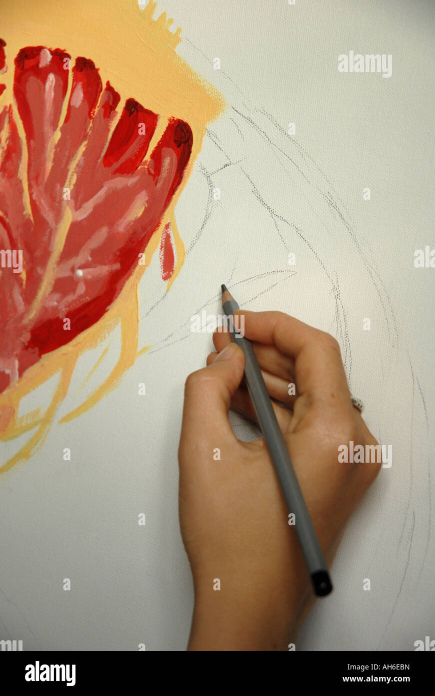 Hand drawing on canvas Stock Photo - Alamy
