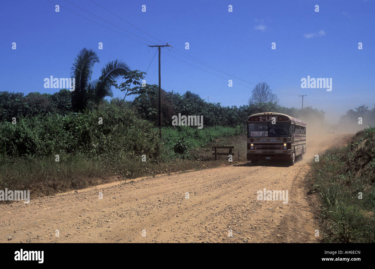 Belize maya mountains hi-res stock photography and images - Alamy