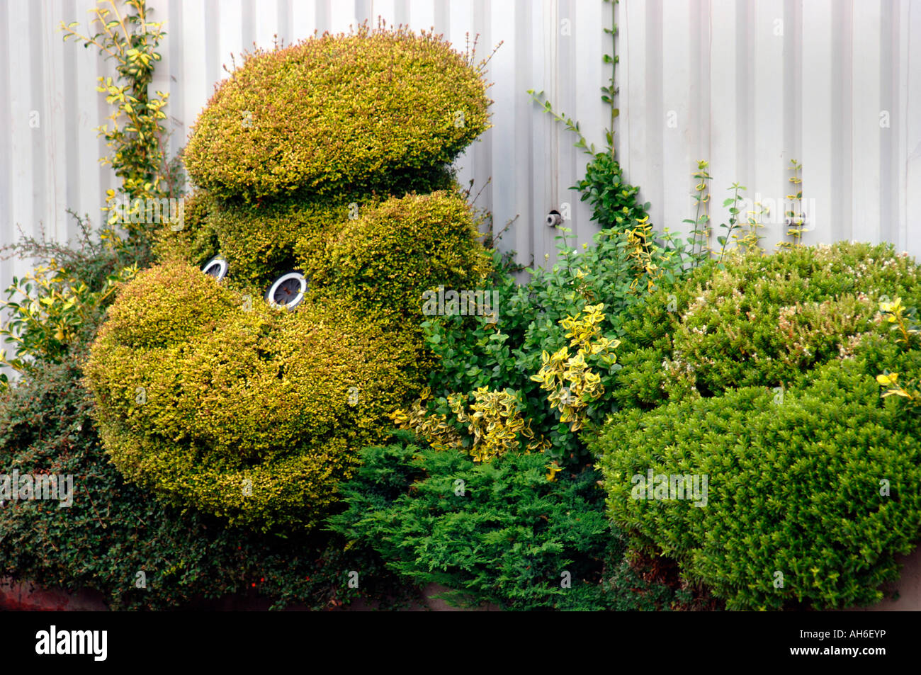 Topiary Face Stock Photos & Topiary Face Stock Images - Alamy