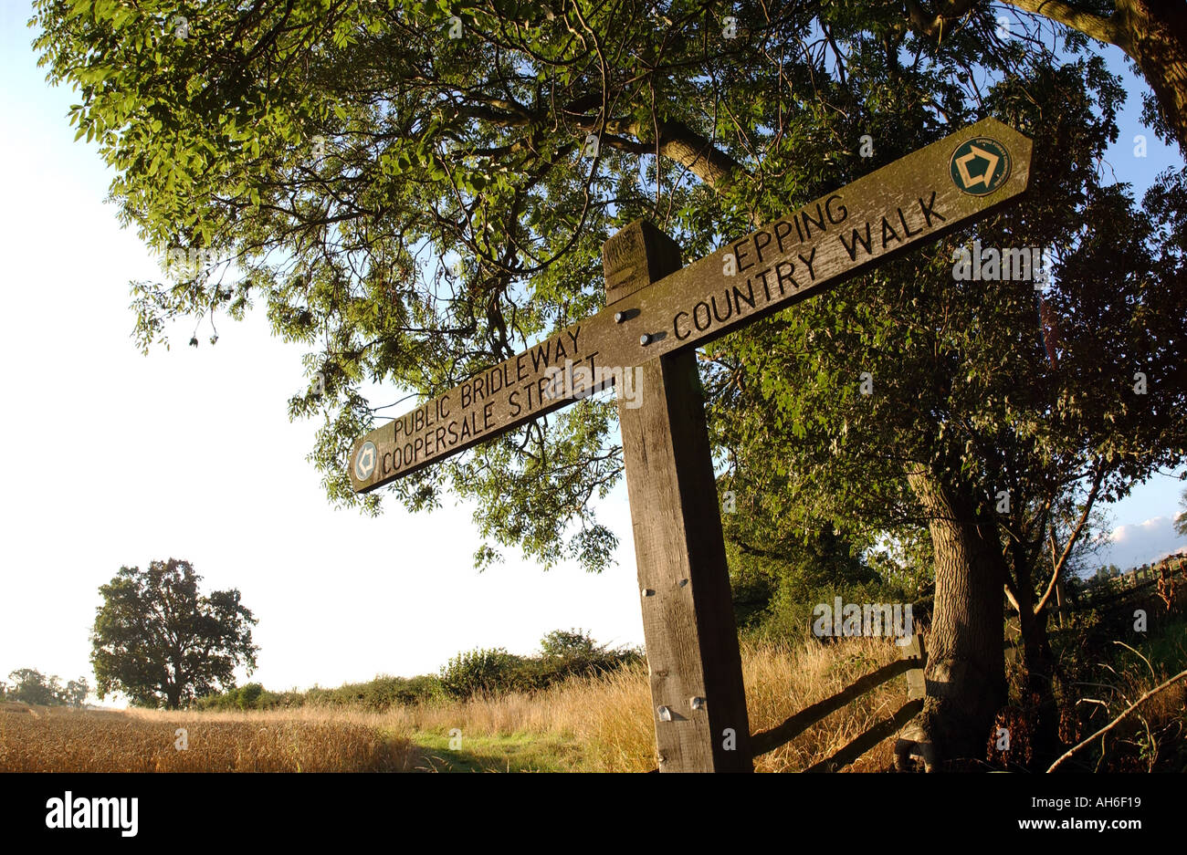 Rural wooden signpost with tree and path in the background Stock Photo ...