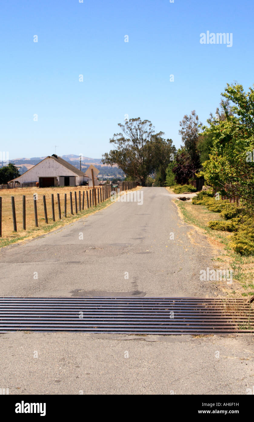 The cow catcher hi-res stock photography and images - Alamy