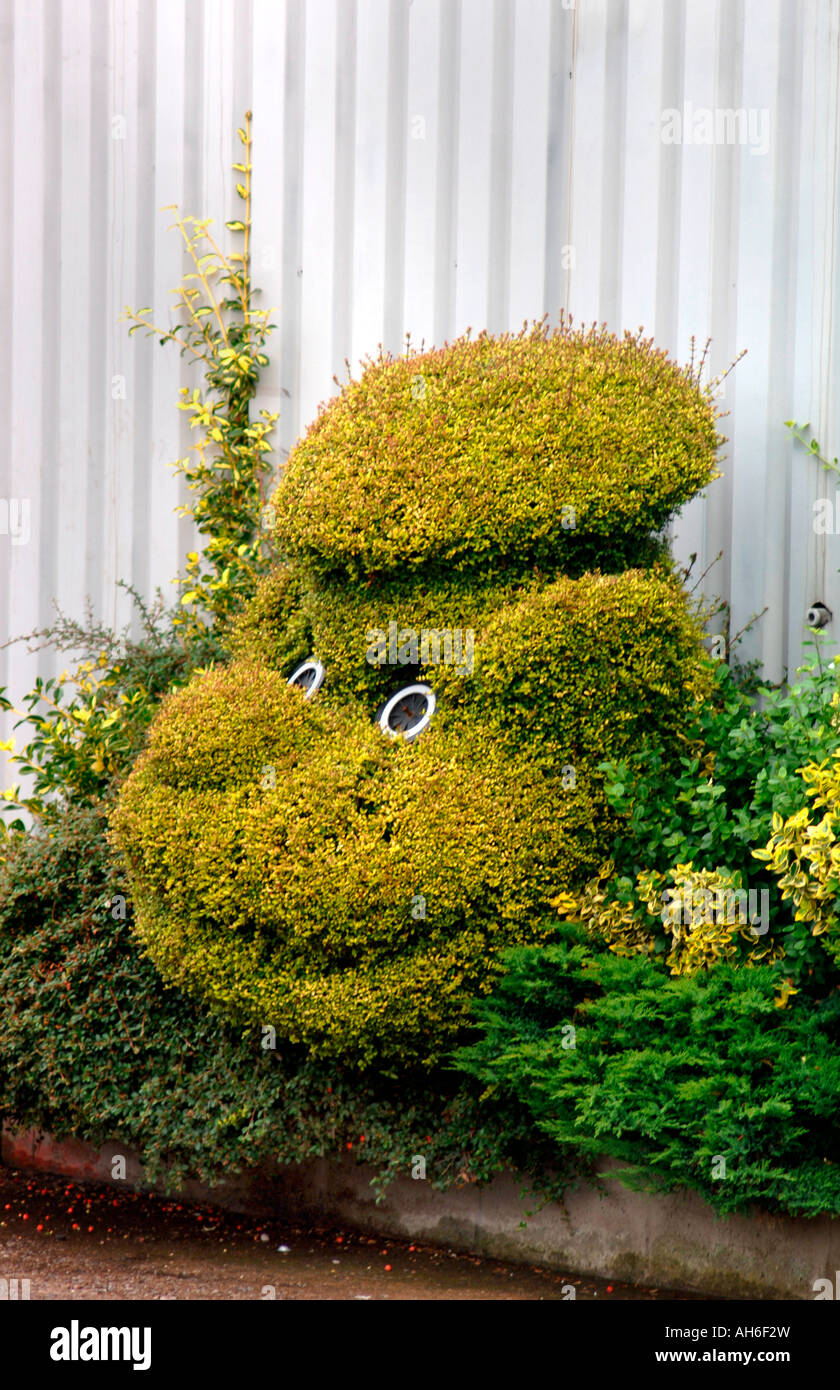 A Garden Shrub Shaped Into A Face Stock Photo - Alamy