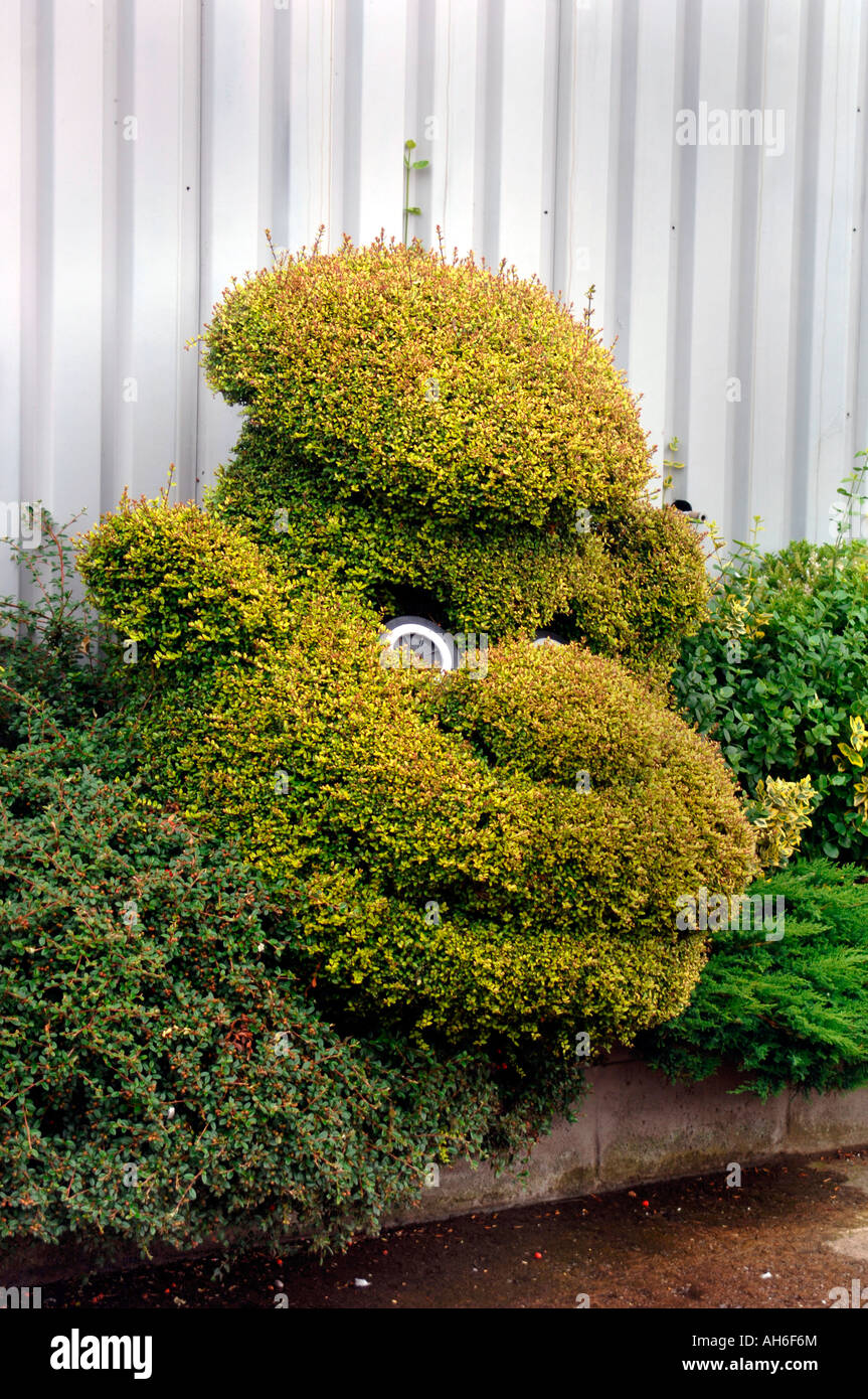A Garden Shrub Shaped Into A Face Stock Photo - Alamy
