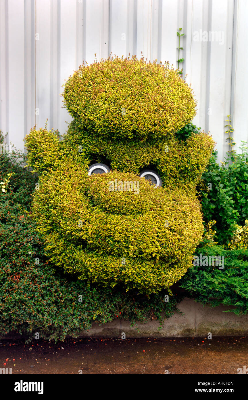 Topiary face hi-res stock photography and images - Alamy