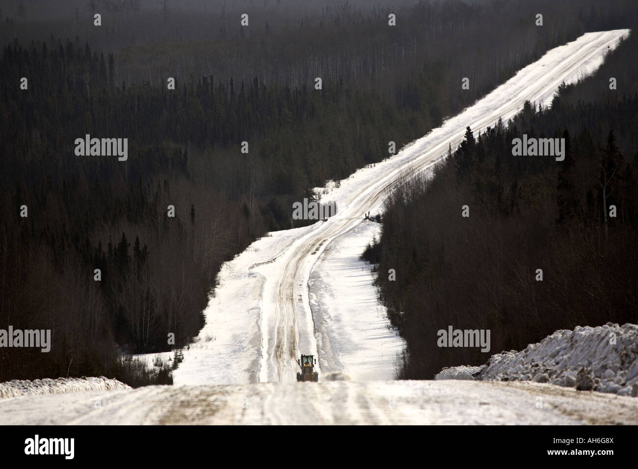 Snow covered logging road hi-res stock photography and images - Alamy