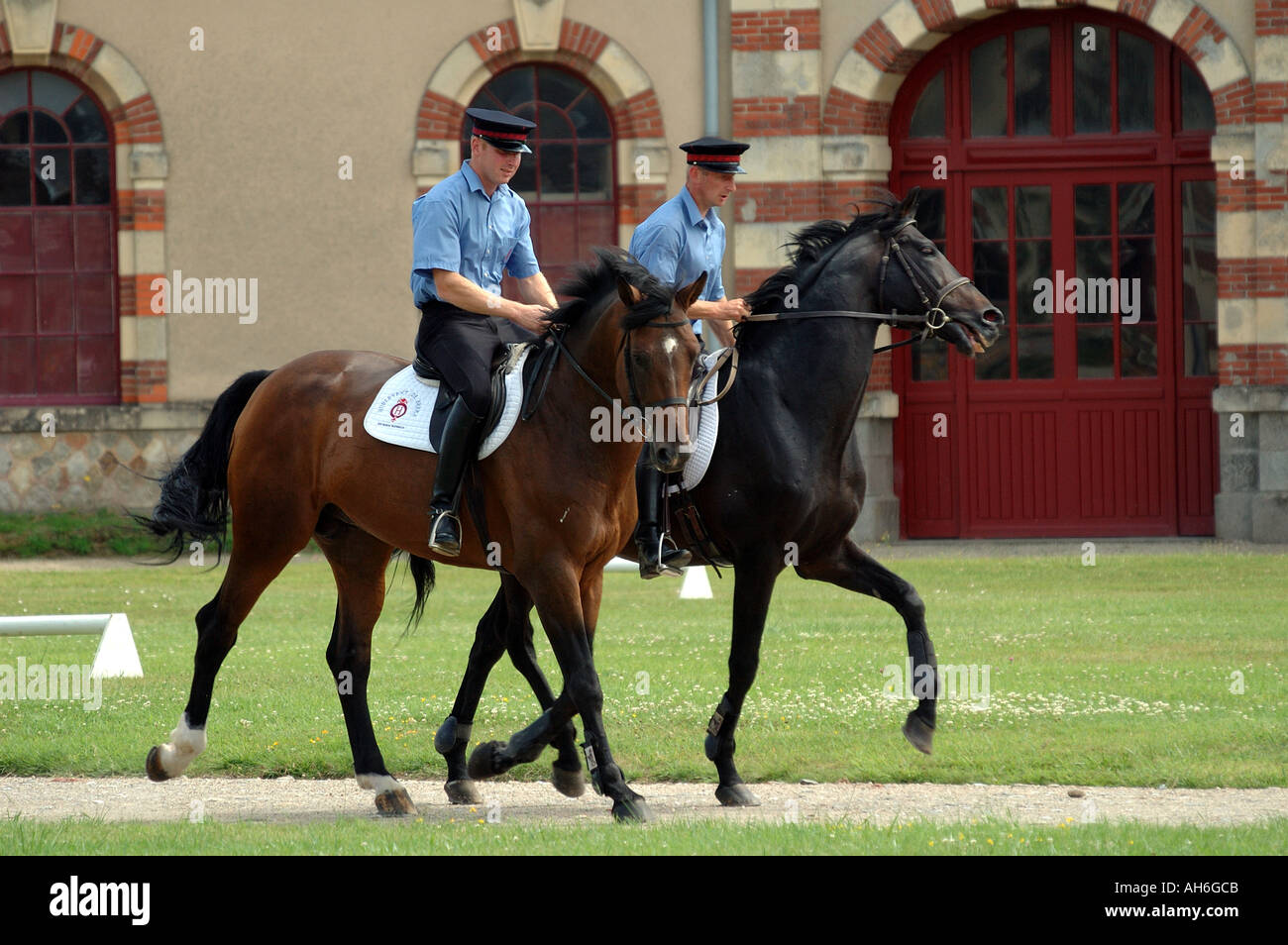 National Stud Farm France Stock Photo - Alamy