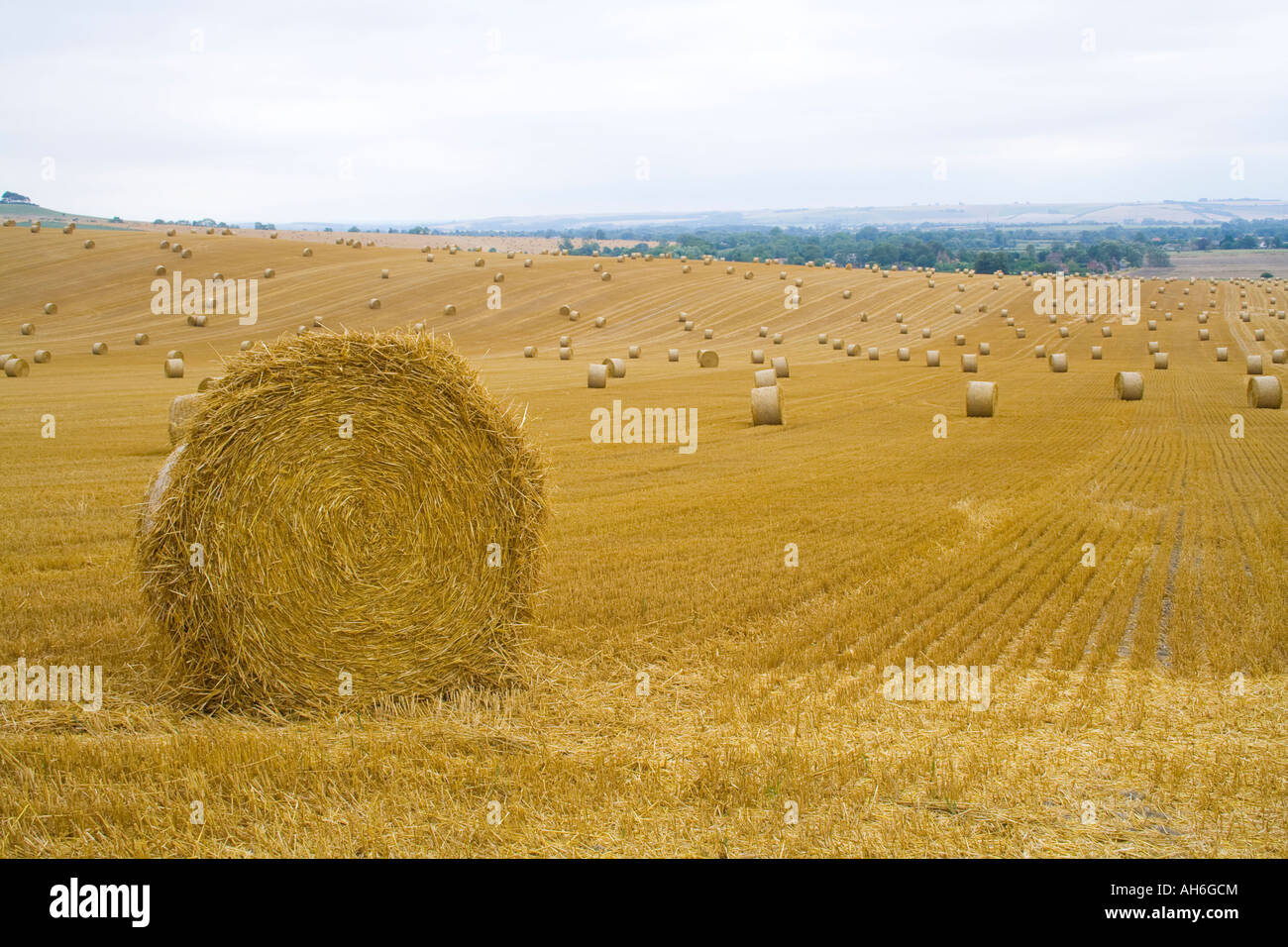 Food bails hi-res stock photography and images - Alamy