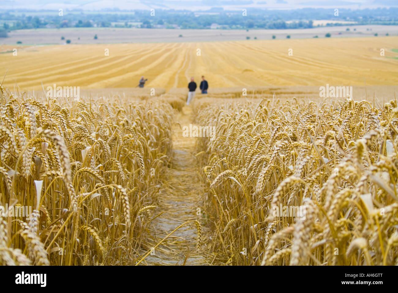Crop circles hi-res stock photography and images - Alamy