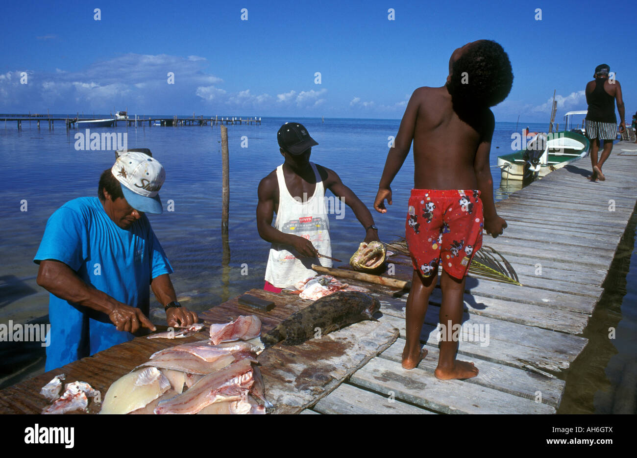 Fishermen in Caye Caulker Belize Stock Photo - Alamy