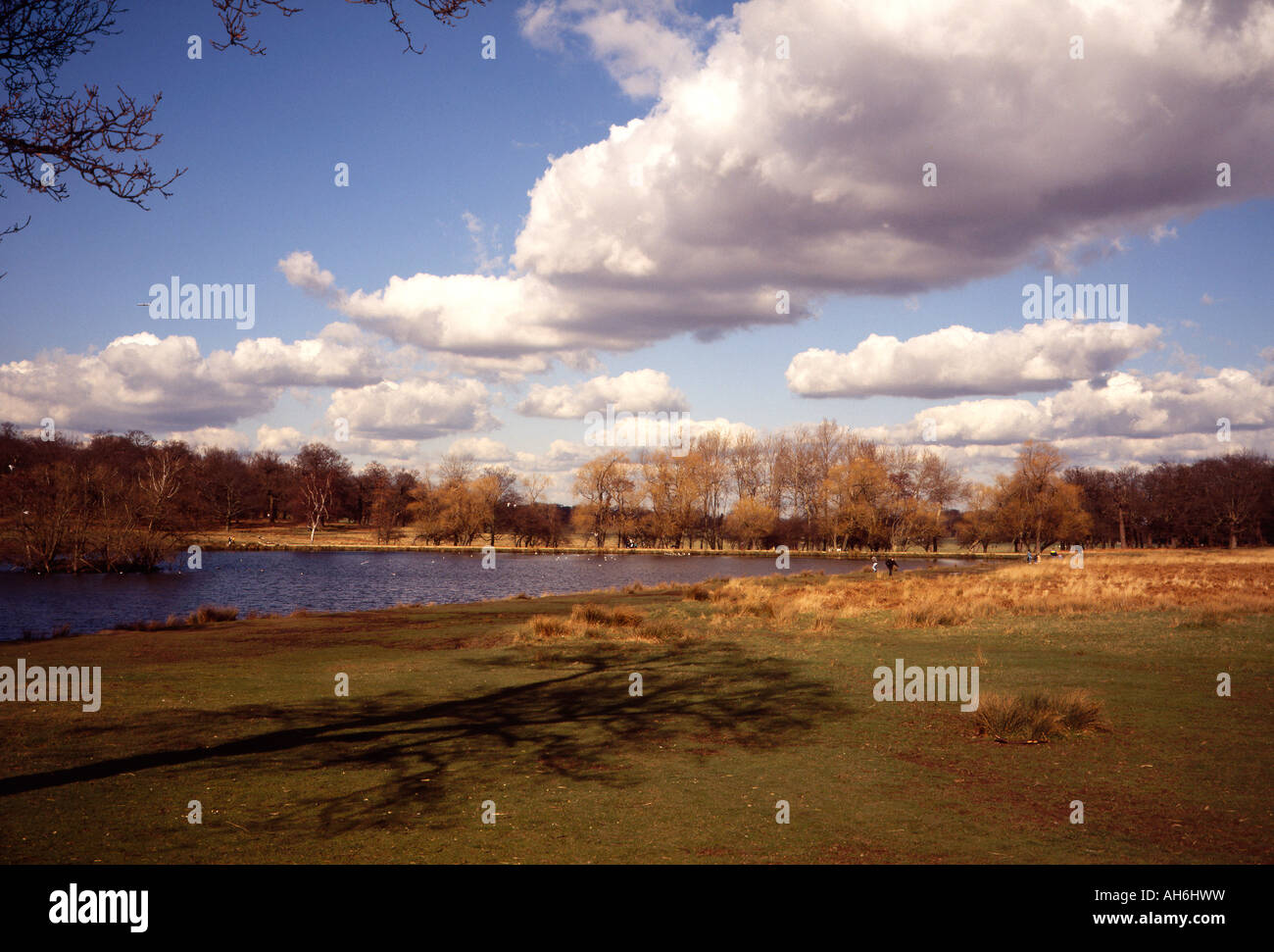 Richmond Park in winter Stock Photo - Alamy