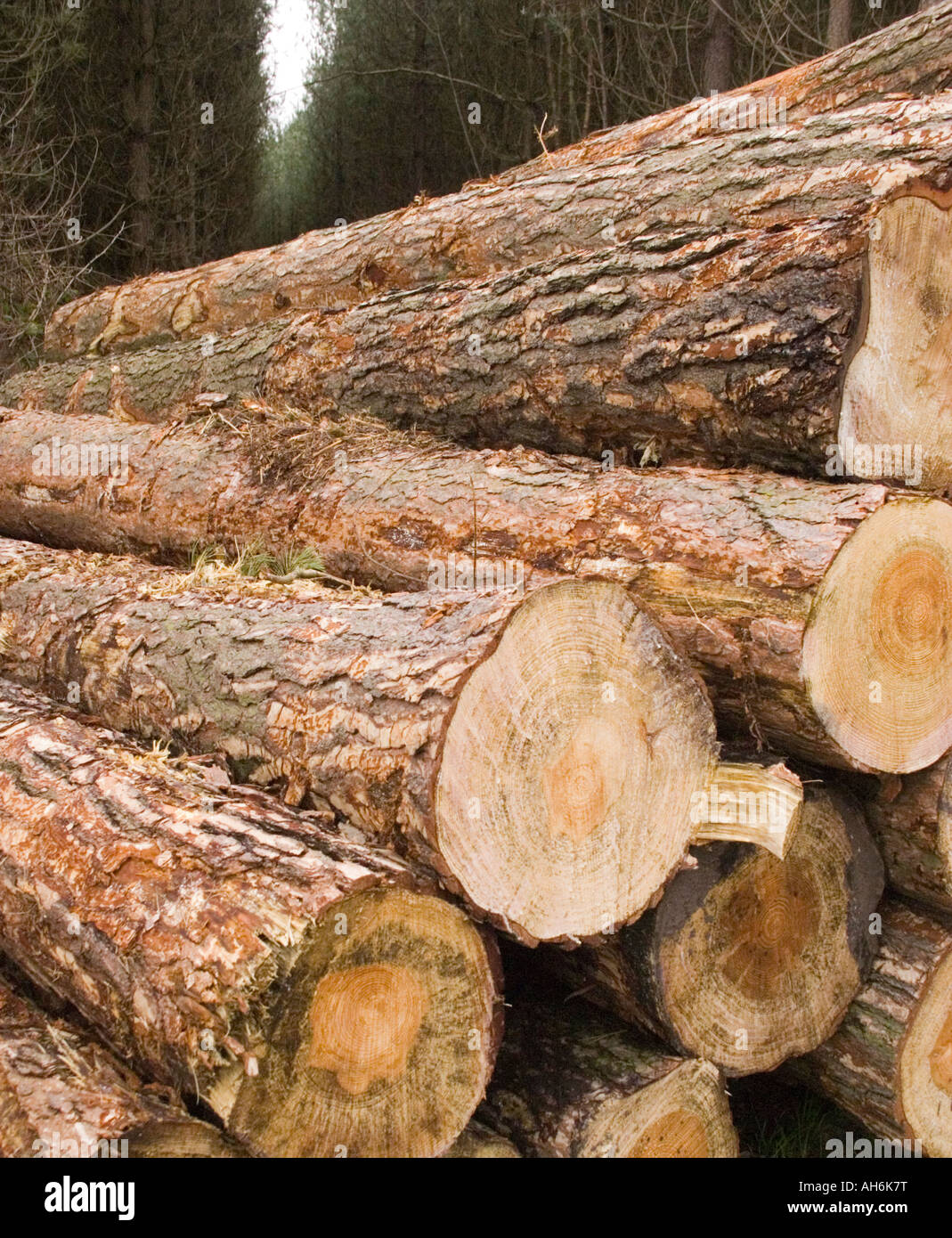 Pit props hi-res stock photography and images - Alamy