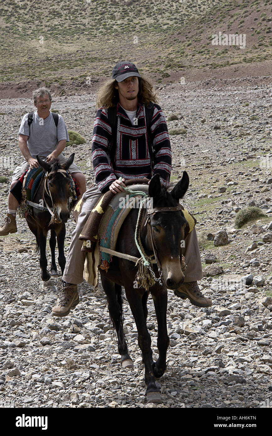 Mule trekking in the High Atlas Region Morocco Stock Photo - Alamy