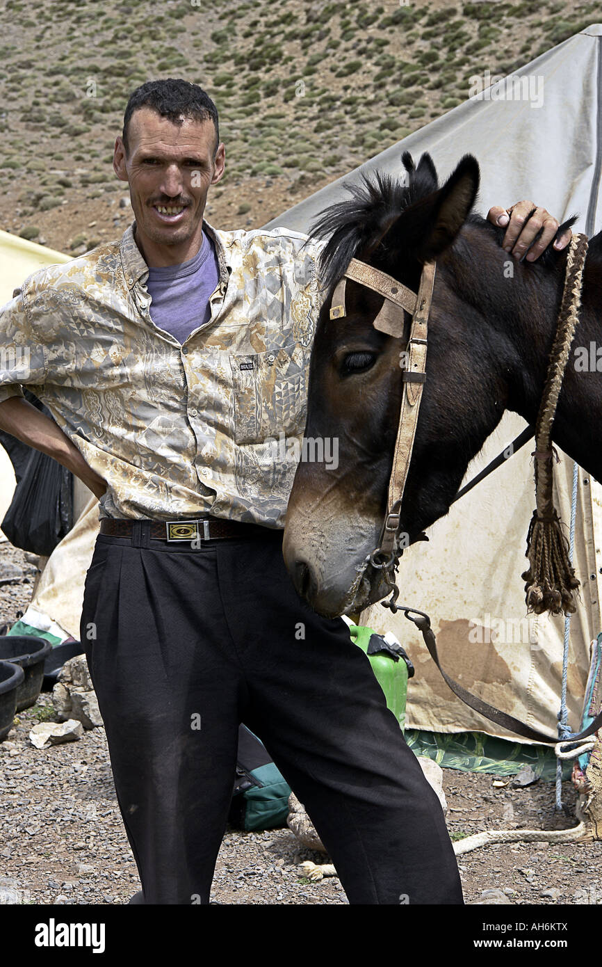 Mule driver hi-res stock photography and images - Alamy
