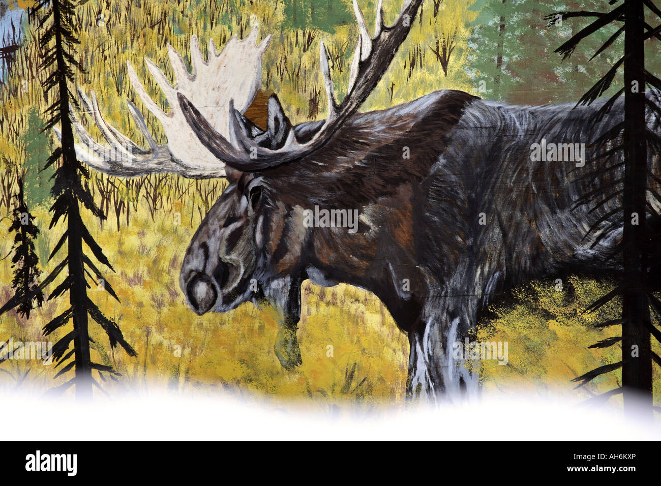 Moose mural on garage wall Stock Photo - Alamy