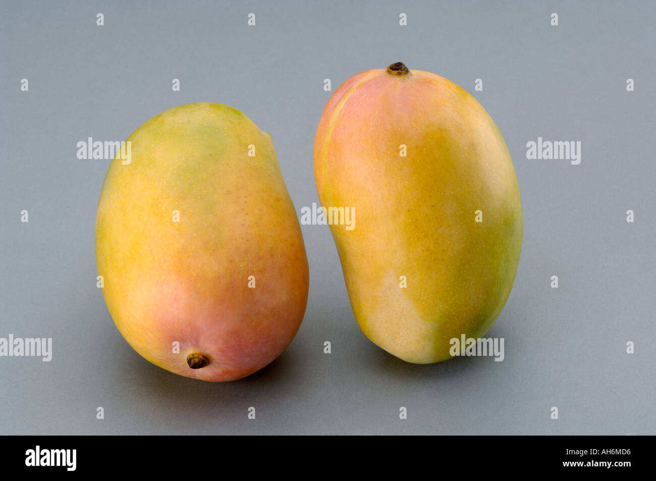 Two mangoes yellow green red color fruit on gray background Stock Photo ...