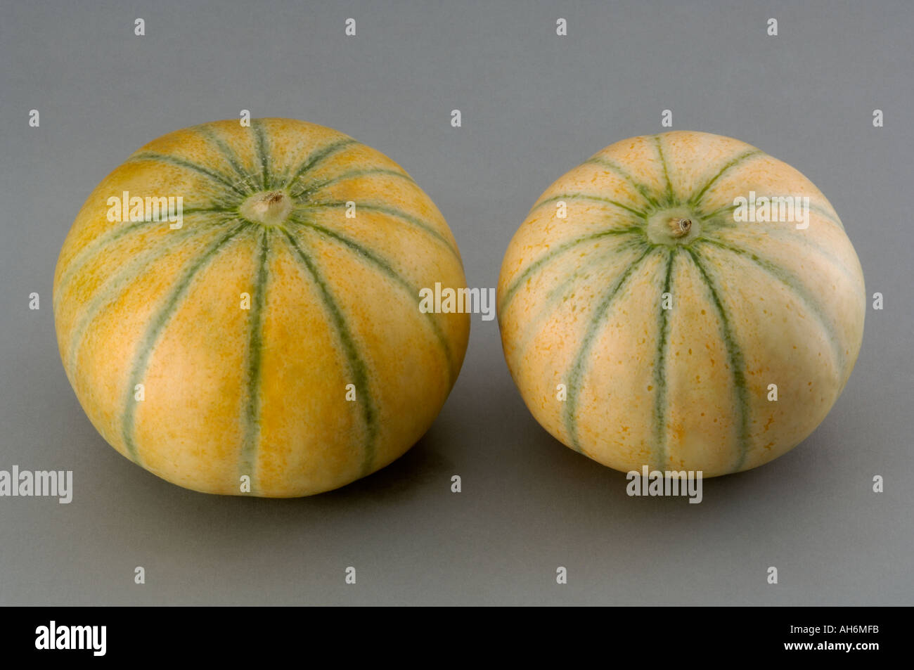 Yellow melon melons fruit hi-res stock photography and images - Alamy