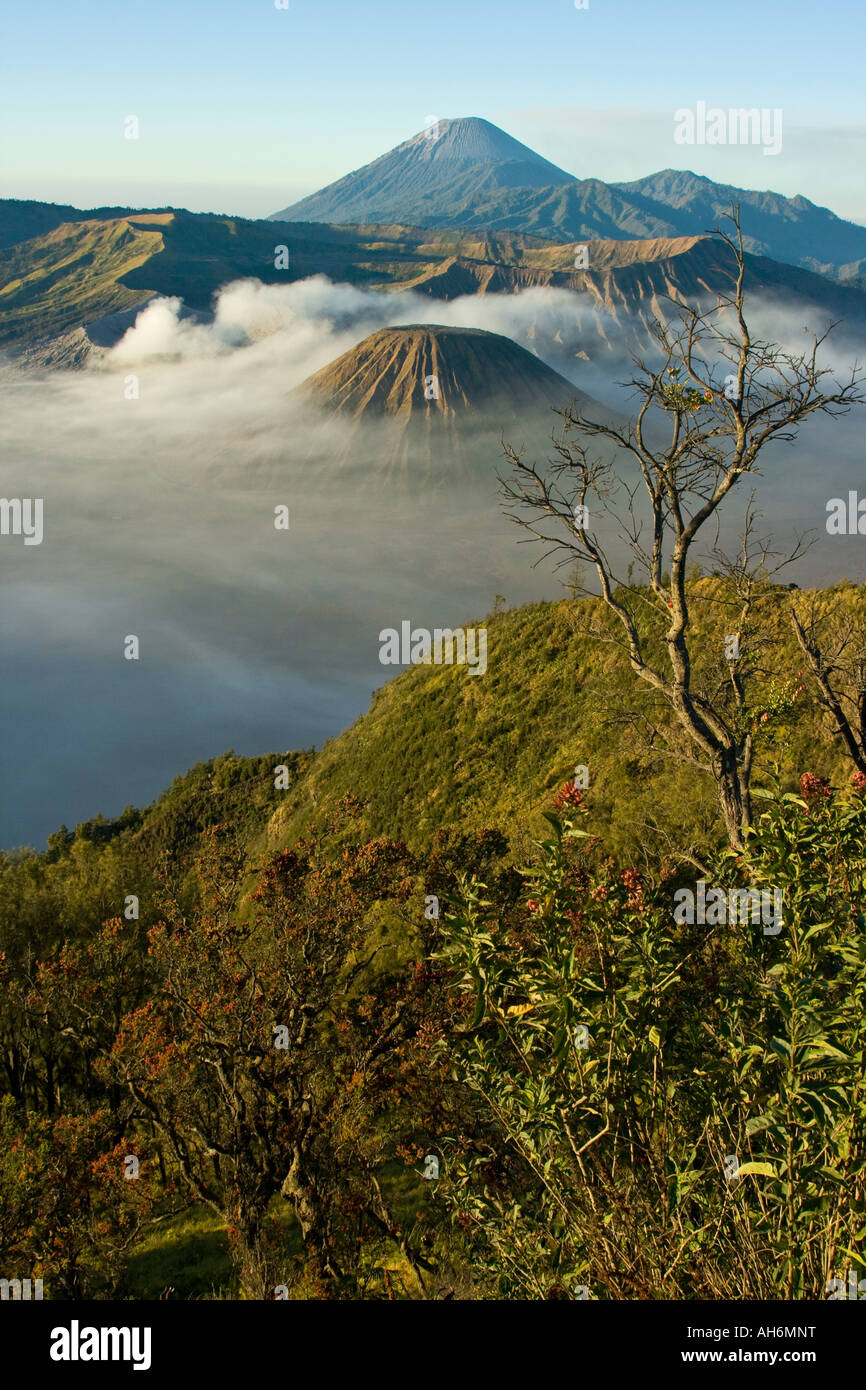 Gunung Bromo or Mount Bromo area Java Indonesia Stock Photo - Alamy