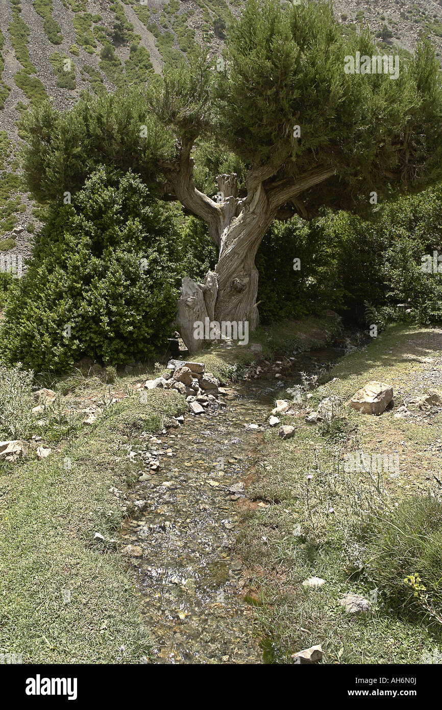 Stream in the mountains of the High Atlas Region Morocco Stock Photo ...