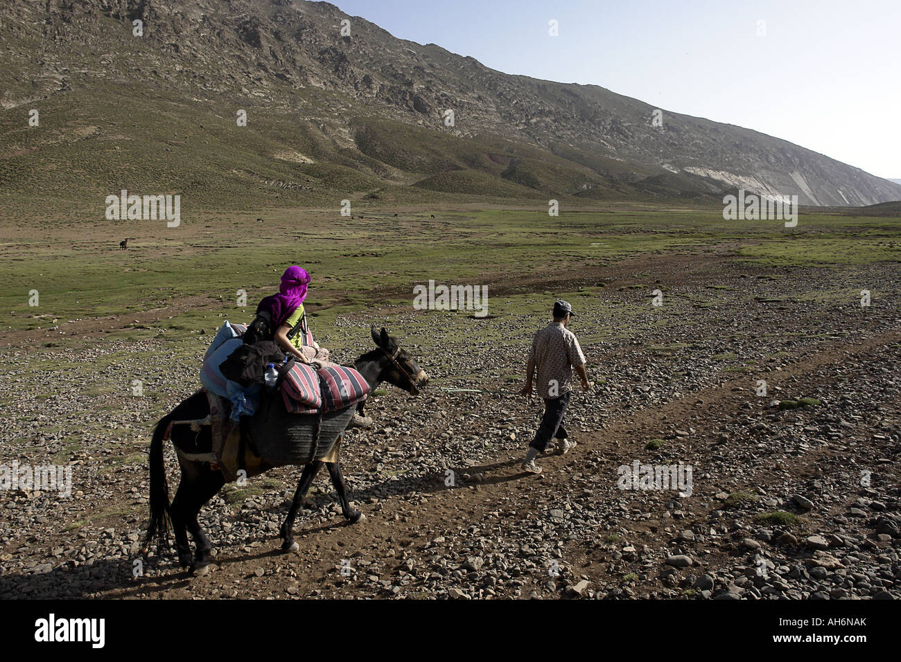 Mule trek atlas mountains hi-res stock photography and images - Alamy