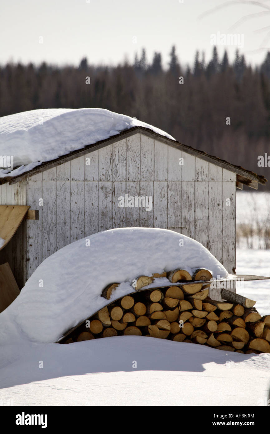 Shead hi-res stock photography and images - Alamy