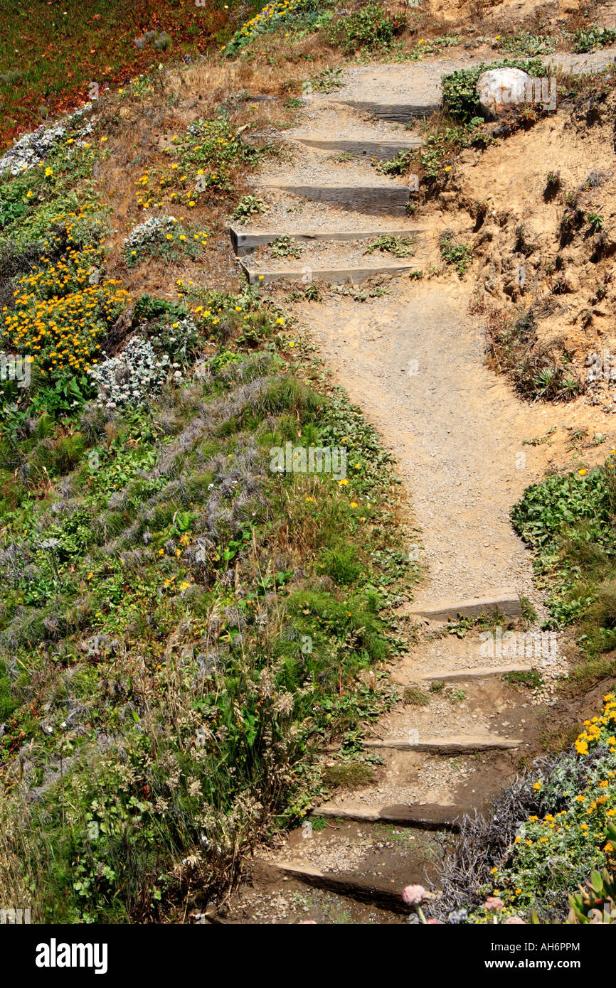 Steps creating a path leading down a steep hillside Stock Photo - Alamy