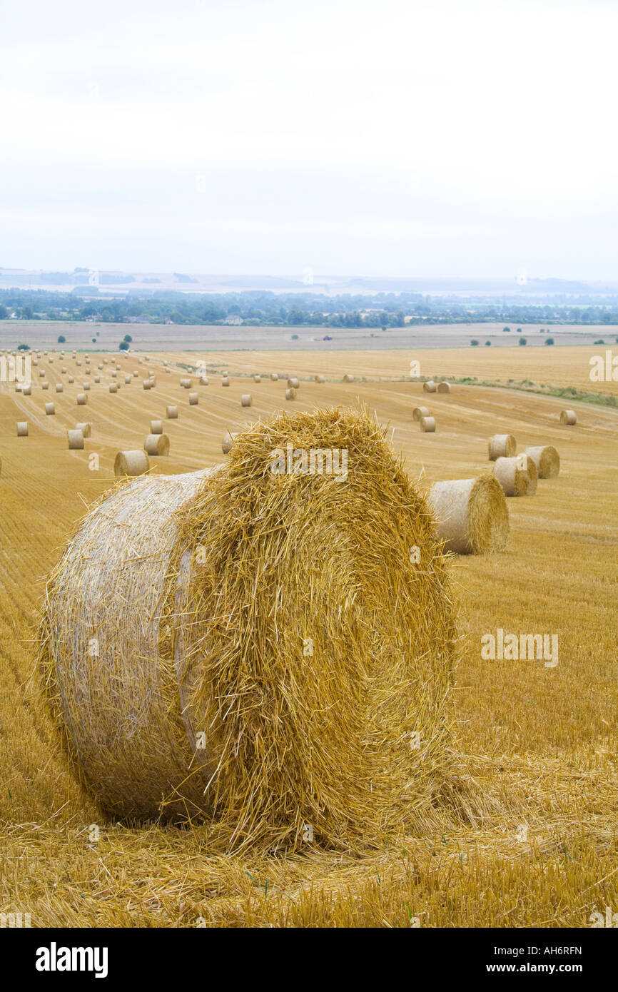 Bails of feed hi-res stock photography and images - Alamy