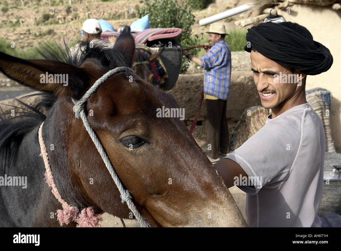 Loading the mules before the departure Mule trekking in the High Atlas ...