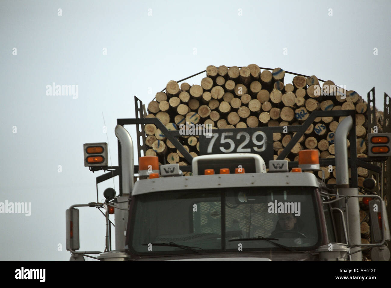 Horizontal logging truck hi-res stock photography and images - Alamy