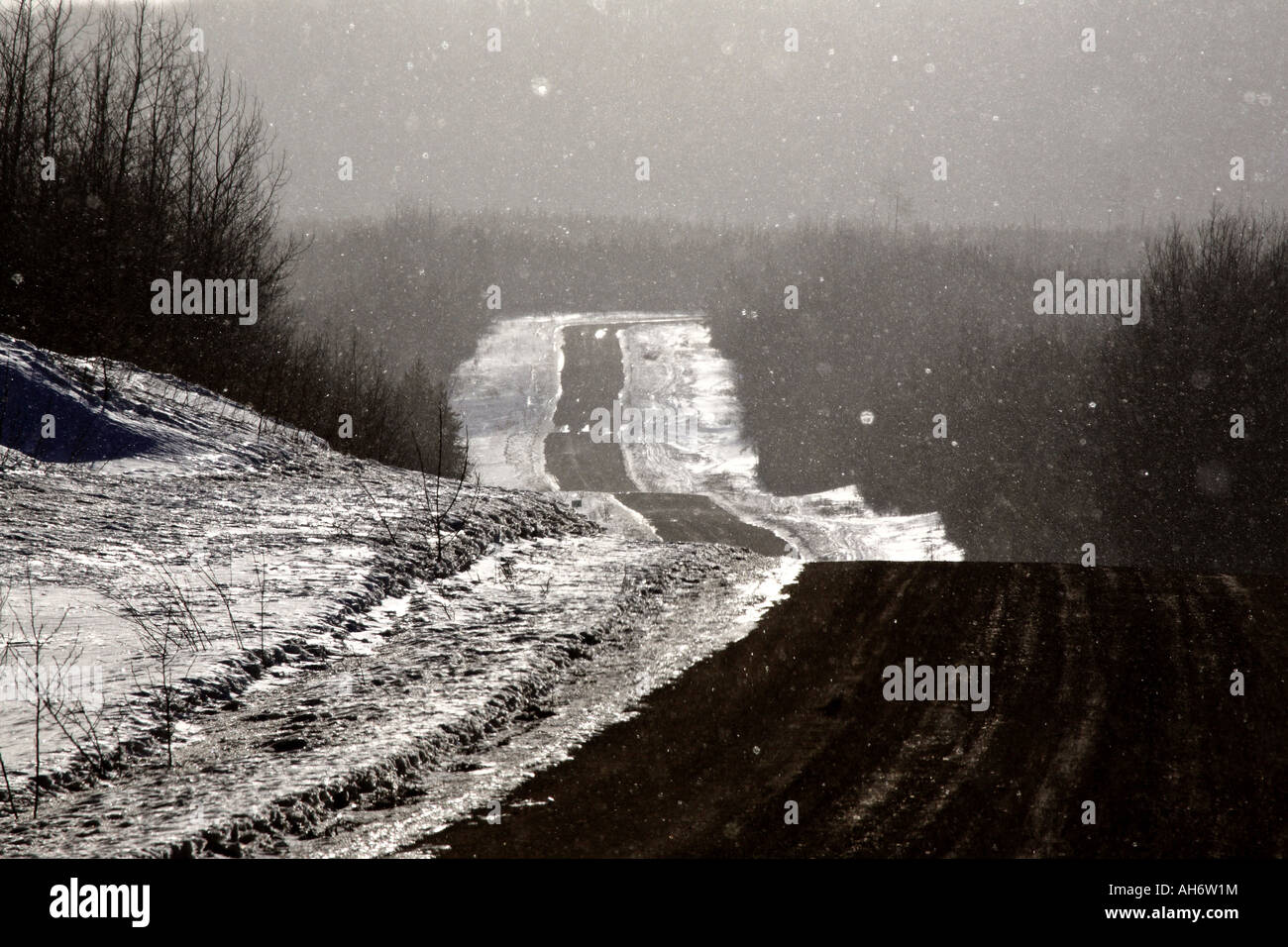 Northern Saskatchewan logging road in winter Stock Photo - Alamy